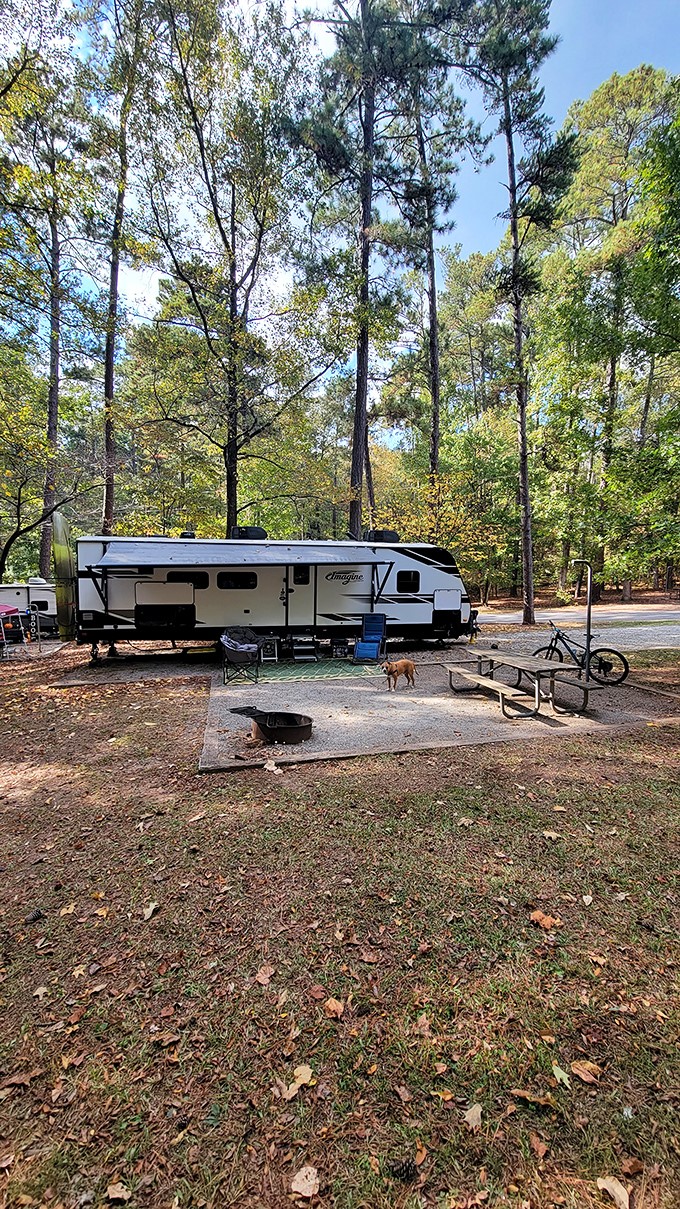Home is where you park it. This RV setup proves you can bring all the comforts of home to the great outdoors, including Fido!