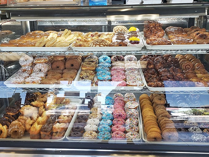 A rainbow of possibilities! This display case is like Willy Wonka's factory got downsized but kept all the magic (and none of the Oompa Loompas).