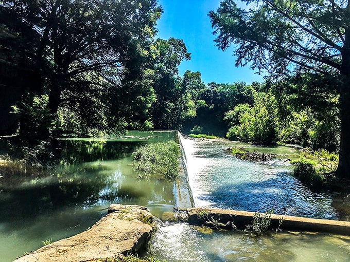 A river runs through it: Castroville's hidden oasis offers a perfect blend of serenity and adventure. Who needs a theme park when you have this?