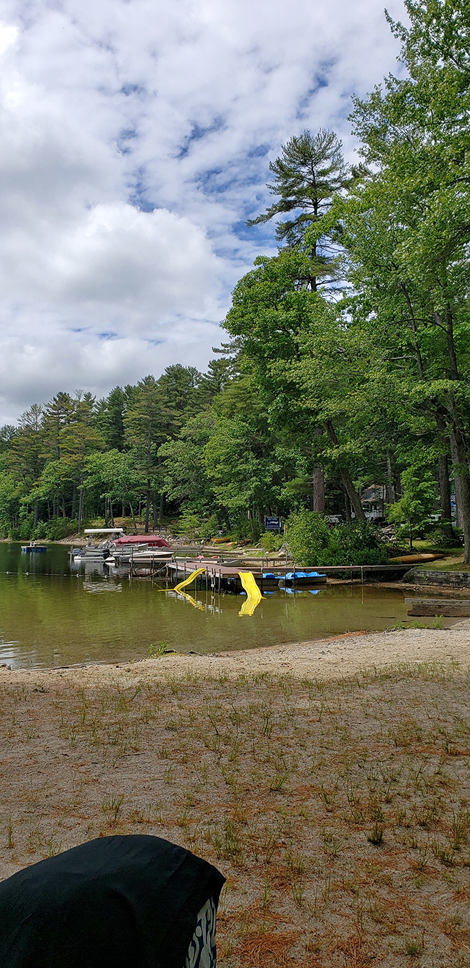 Mother Nature's screensaver! This lush greenery is a reminder that sometimes, the best filter is no filter at all.