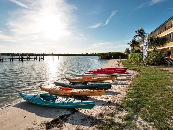 Paddle your way to paradise! Captiva's kayaking scene is like a choose-your-own-adventure book, but with better views and a higher chance of spotting dolphins.