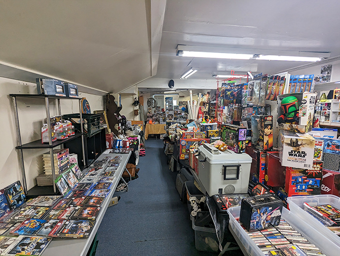 Kid in a candy store? Try adult in a nostalgia store! This corner is where childhood dreams and collectible obsessions collide.