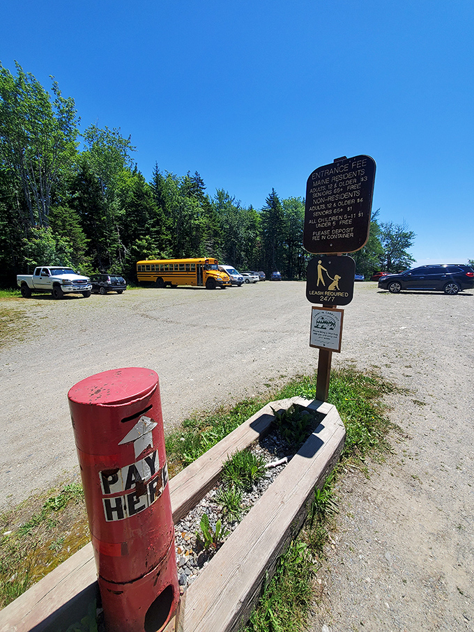 Parking lot or launch pad for adventure? This unassuming spot is where memories begin. Time to embark on your Birch Point expedition!