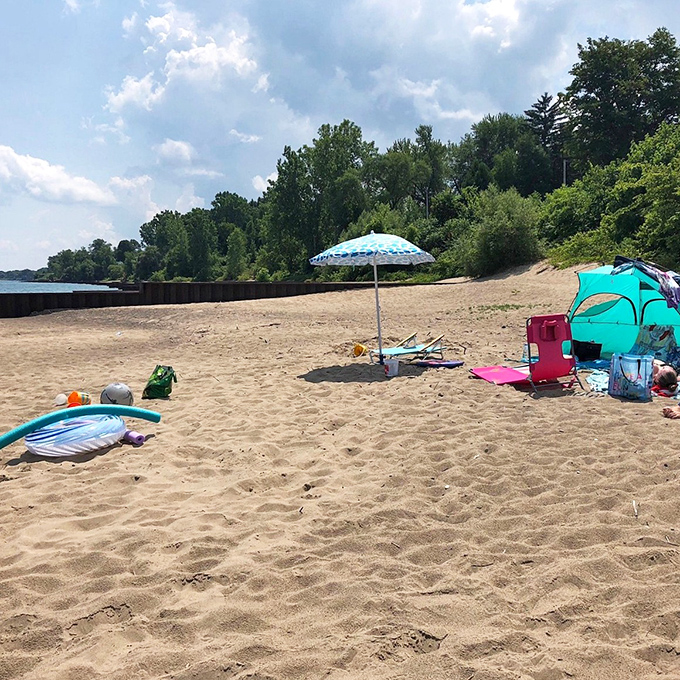 Beach day bliss! Sand, sun, and serenity - the holy trinity of summer relaxation. Don't forget the SPF!