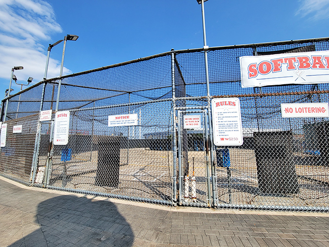 "Batter up... if you dare! This batting cage looks ready to pitch some curveballs and maybe a few plastic eyeballs too."