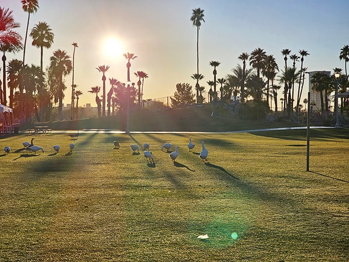 Sunset serenity with a side of surreal! As day turns to dusk, even the local waterfowl line up to admire nature's nightly light show.