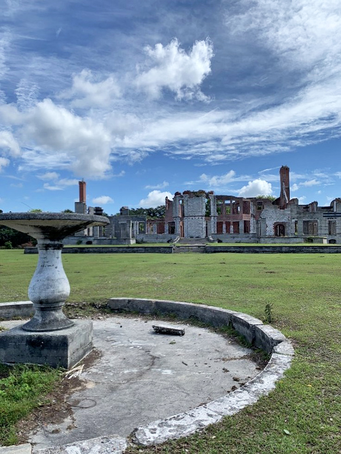 "The old mansion": Dungeness Ruins: where Mother Nature and Father Time co-parent a slice of American history. Talk about a power couple!
