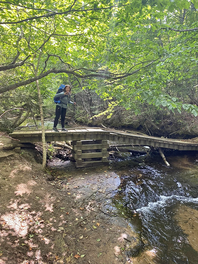 Bridge over tranquil waters: This rustic crossing invites hikers to pause and play a quick game of Poohsticks in the babbling stream.