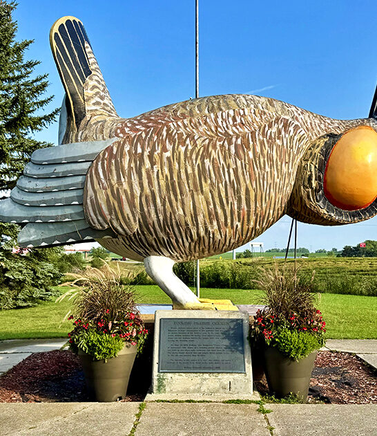 13 foot attraction minnesota FTR