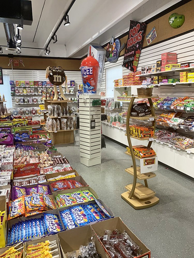 The Mount Rushmore of munchies! These all-time favorites are the unsung heroes of movie nights and road trips everywhere.