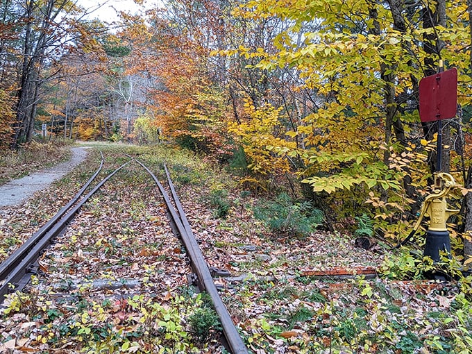 "Fall in New England: Mother Nature's way of showing off." Autumn transforms the landscape into a vibrant canvas, with every shade of the season on display.