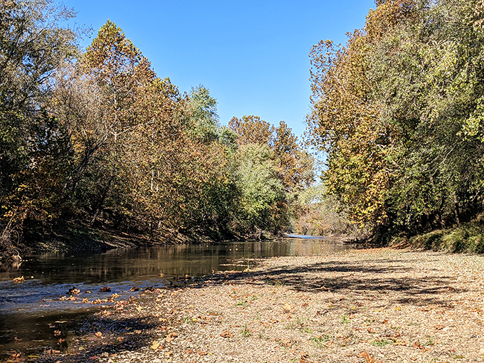 Mother Nature's fall fashion show: The Loutre River struts its stuff in autumn colors that'd make any fashionista jealous.