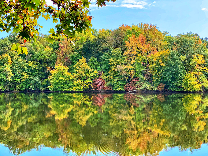 Nature's own Technicolor dreamcoat! Fall foliage paints the park in hues so vivid, you'll swear you've stepped into a living canvas.