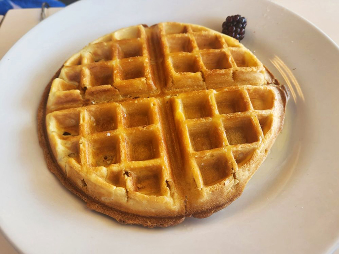 Waffle perfection achieved! Golden, crispy, and ready for its syrupy close-up. Hollywood, are you watching?