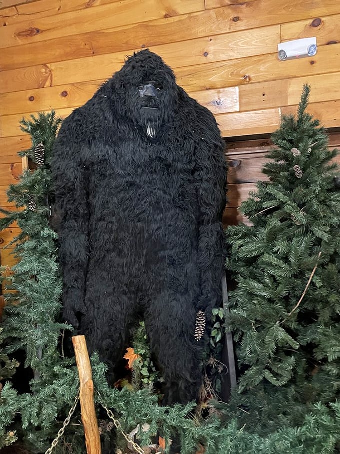 Smile and say "Sasquatch"! This lifelike Bigfoot model gives new meaning to the phrase "picture-perfect." Just don't expect him to pose for selfies.