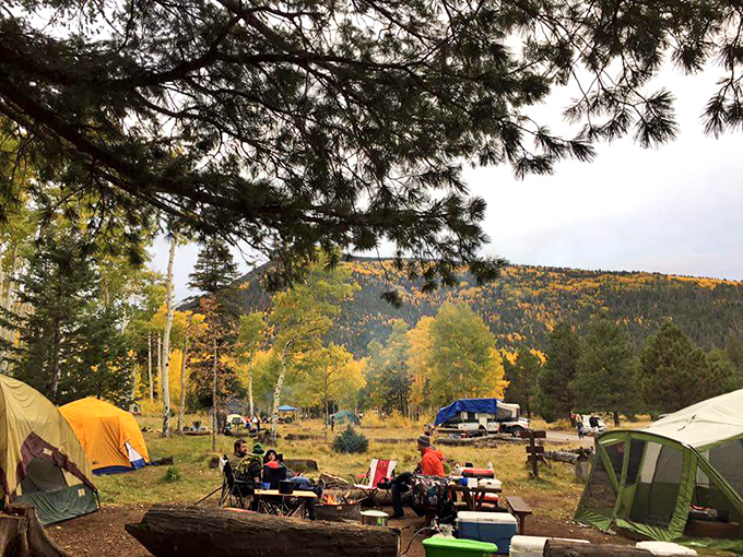 Campground or outdoor living room? With views like these, who needs walls? It's glamping without the glam, and we're here for it!