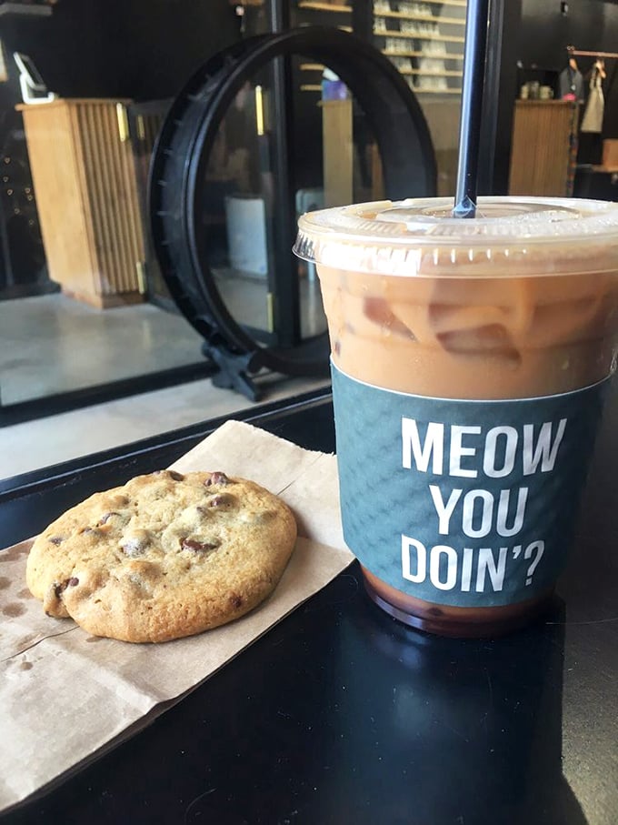 "Meow you doin'?" asks this cheeky cup. Paired with a cookie, it's the perfect pick-me-up for when you're feline fine.