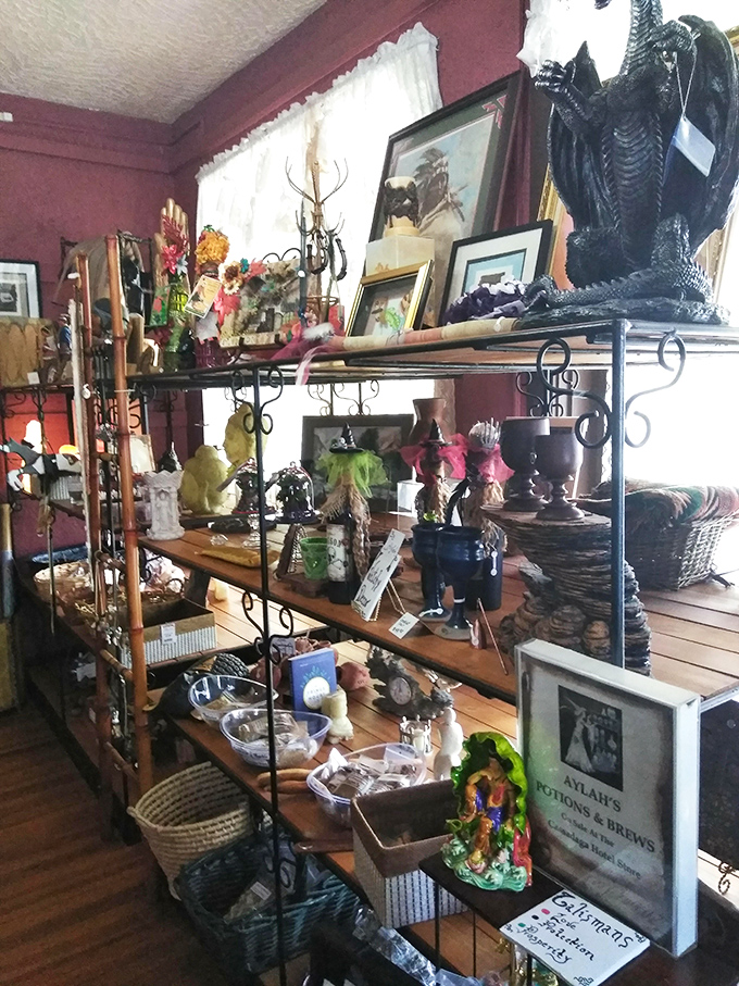 If 'Antiques Roadshow' and 'Ghost Hunters' had a baby, it would look exactly like this eclectic collection.