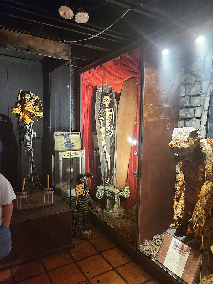 Skeletons in the closet? More like skeletons in the display case at this macabre menagerie of oddities.