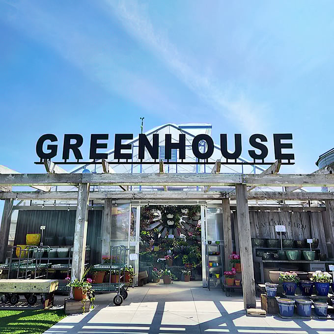 The greenhouse exterior: where modern farming meets fairy tale charm. Snow White would trade her dwarfs for this setup in a heartbeat.