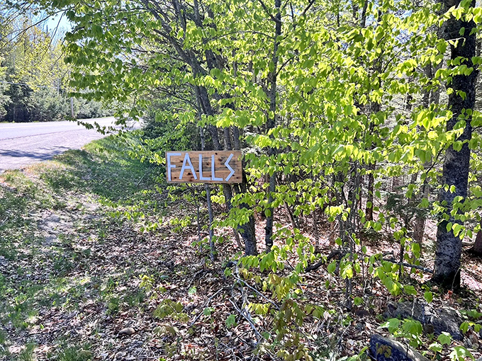 "FALLS" ahead! The world's most enticing road sign, promising a splash of excitement just around the bend.