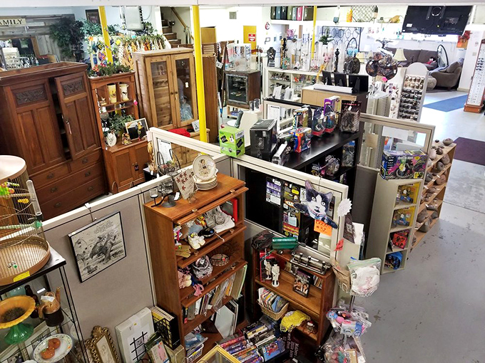 Welcome to the land of "I didn't know I needed that!" Prepare for a treasure hunt that'll make Indiana Jones jealous.