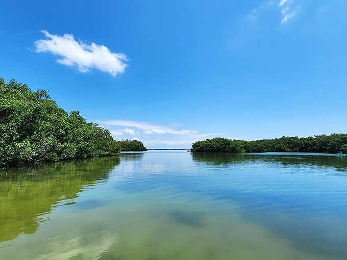 Mangrove maze adventure. Kayaking through Fort De Soto's waterways is like entering nature's own escape room &ndash; with better scenery.