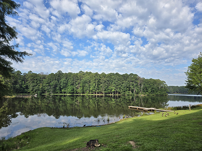 Mirror, mirror on the lake, which state park is the fairest of them all? Roosevelt's reflections are pure magic.