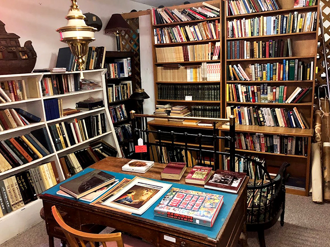 Shhh! The books are sleeping. This cozy nook is where literature goes to retire, surrounded by the soft snores of dusty tomes and the whispers of forgotten stories.