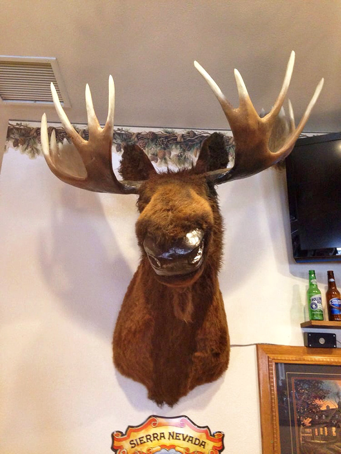 The moose is loose! This wall-mounted friend keeps a watchful eye on diners, ensuring everyone's having a good time.