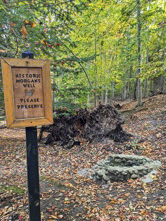 Morgan's well: Where history and hydration meet. Just remember, it's for preserving, not for cannonballs!