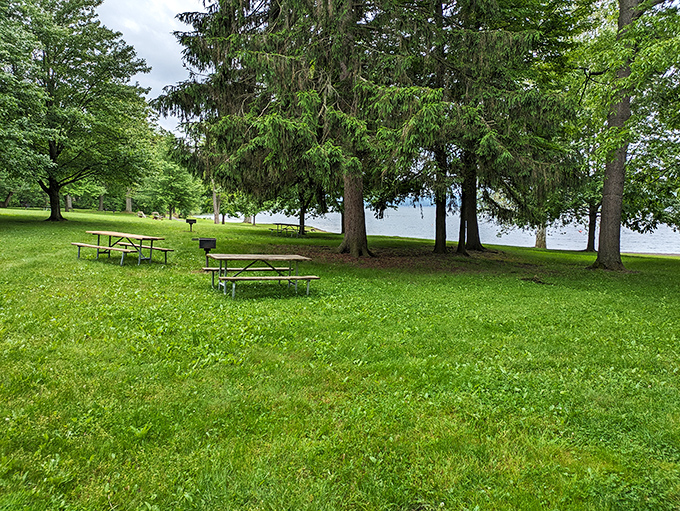 Picnic tables with a view? Check. Trees providing shade? Double-check. The perfect spot for your al fresco feast awaits!