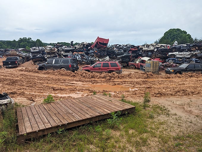 It's a twisted metal sculpture garden. Each crumpled car tells a story of Tank Town glory.