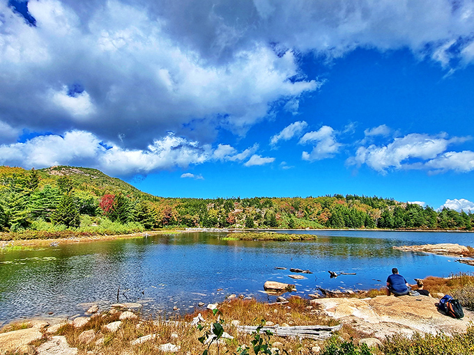 The Precipice Trail: for when you want your hike with a side of "holy moly!" and a dash of "is this real life?" Views that'll leave you breathless (and not just from the climb).