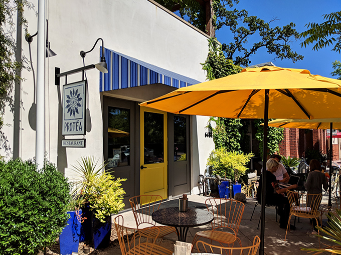 Prot&eacute;a: Blue umbrellas, yellow doors, and food that'll make your taste buds sing. It's like a Wes Anderson film, but with better snacks!