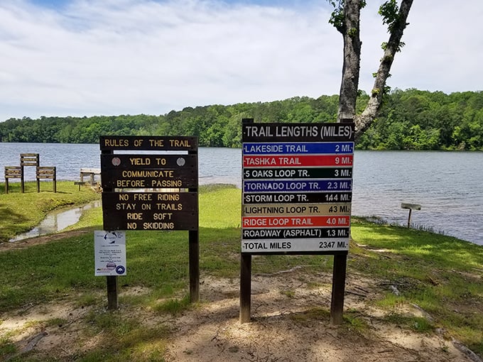 The ultimate trail mix of information. These signs are serving up a buffet of outdoor wisdom, with a side of "no skidding" (whatever that means).