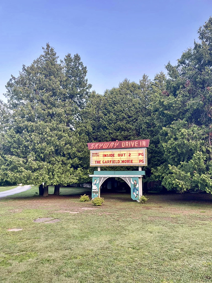 The Skyway Drive-In: where nostalgia meets modern blockbusters. Grab your popcorn and prepare for a double feature of timeless charm and silver screen magic.