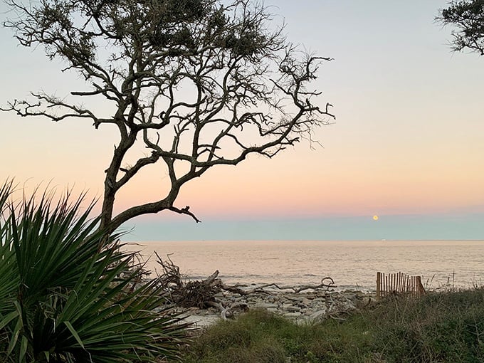 Mother Nature's light show: Driftwood Beach at sunset is like a Bob Ross painting come to life. Happy little trees included.