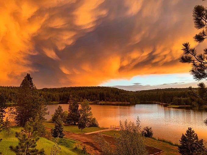 Mother Nature's light show! This sunset paints the sky with more drama than a telenovela finale. No special effects needed!