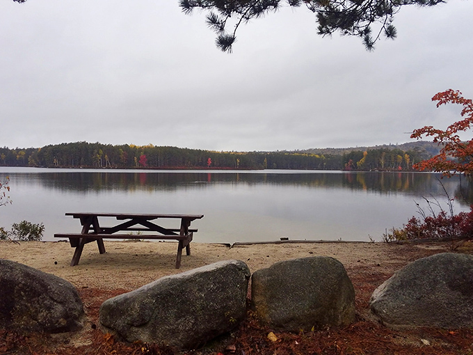 Togue Pond: Where a simple picnic table becomes the best seat in the house for nature's own IMAX experience.