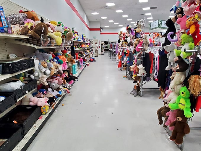 Toy Story come to life! This plush menagerie is where forgotten stuffed animals find new homes and start their next great adventure.