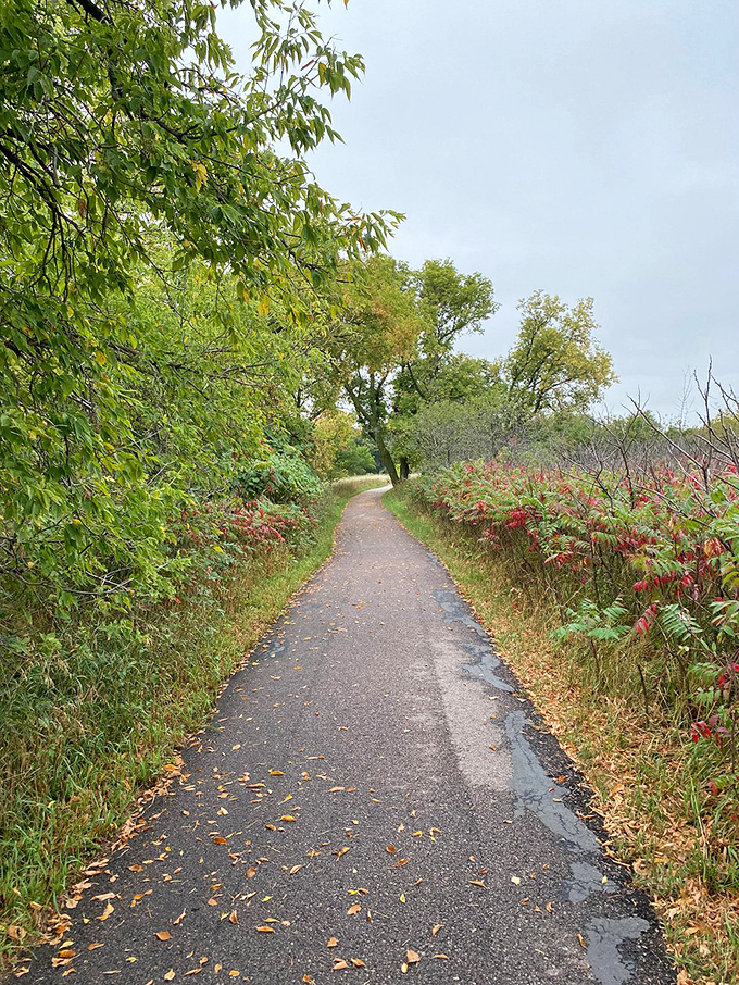 A path less traveled, but more photographed! This trail is Instagram's favorite nature walk.