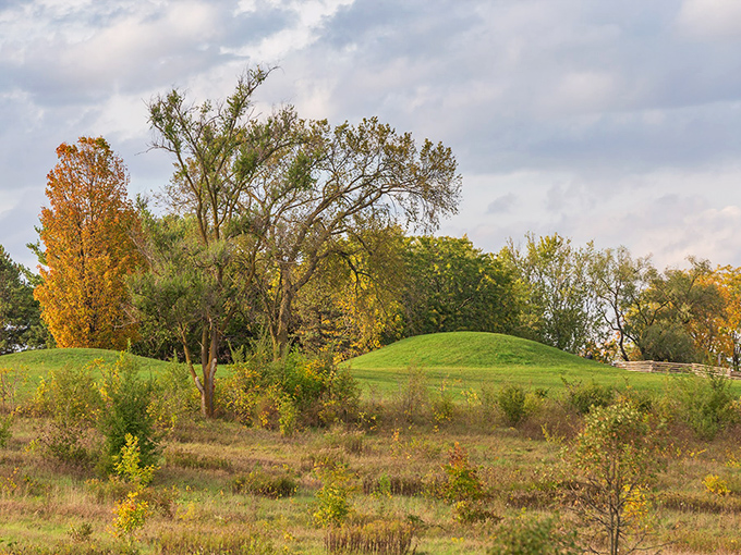 Nature's patchwork quilt! This vista is a living, breathing work of art that'd make even Bob Ross reach for his "happy little trees."