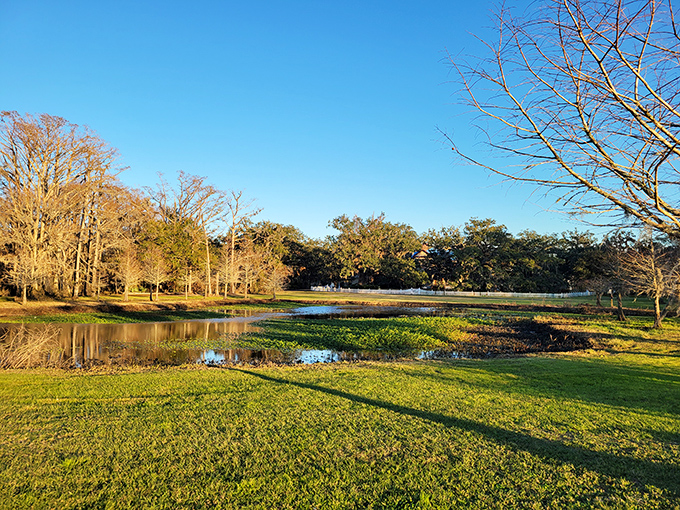 A slice of Louisiana heaven. This scene is so picturesque, it could make even Bob Ross reach for his paintbrush.
