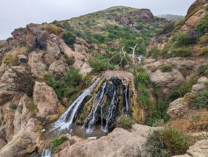 Top of the world, ma! Or at least top of Malibu. Either way, the view's spectacular enough to make you forget about your aching calves.