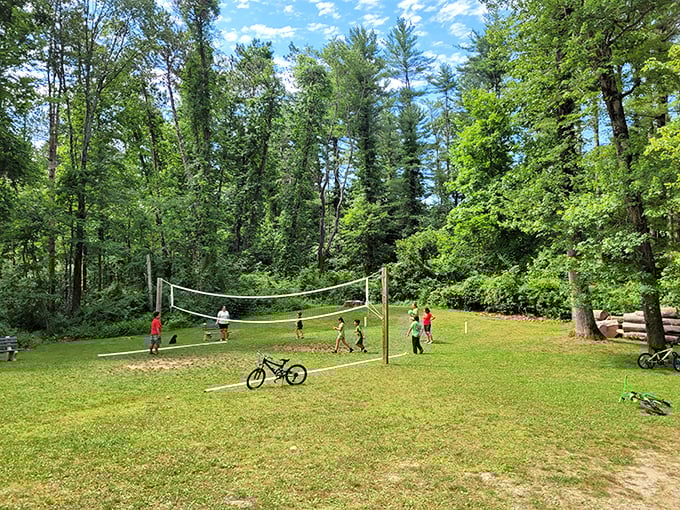 Beach volleyball minus the beach, plus a whole lot of green. It's like nature's version of a sports arena.