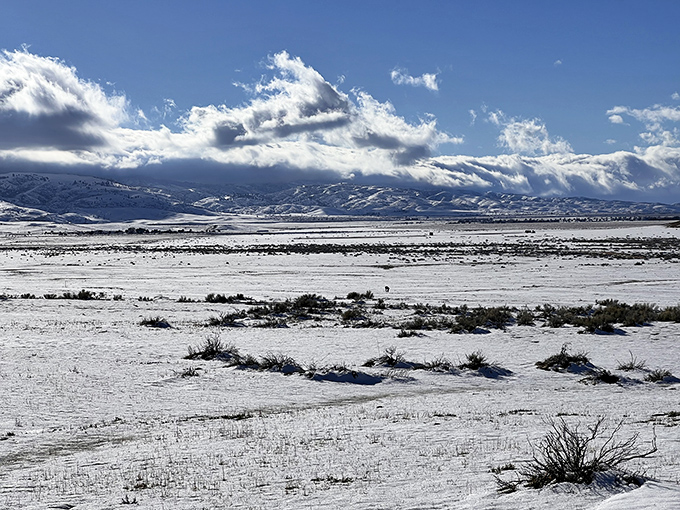 Winter's chill brings a different kind of beauty. The reserve transforms into a serene snowscape, proving it's gorgeous in any season.