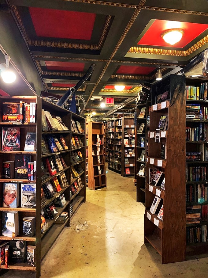 Welcome to the literary yellow brick road! This aisle of books feels like the beginning of a grand adventure, with every step leading to new discoveries.