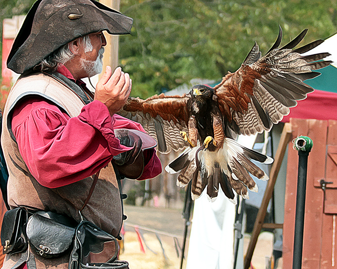 The original Angry Bird, Renaissance edition. This majestic raptor is serving some serious "I could totally be your familiar" realness.