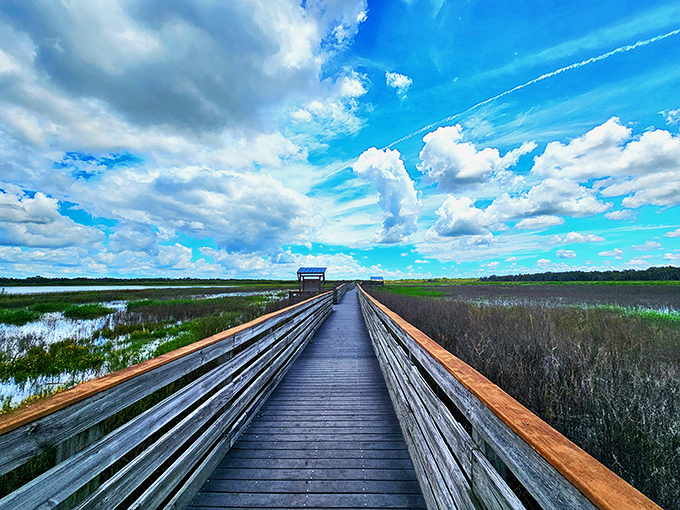 Walking the plank has never been so appealing. This boardwalk is your ticket to Florida's aquatic wonderland.